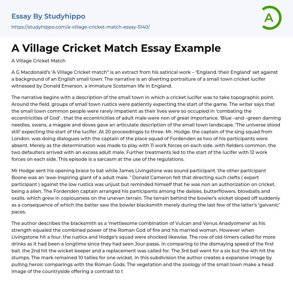 A Village Cricket Match Essay Example StudyHippo A Village Cricket Match Essay Example StudyHippo