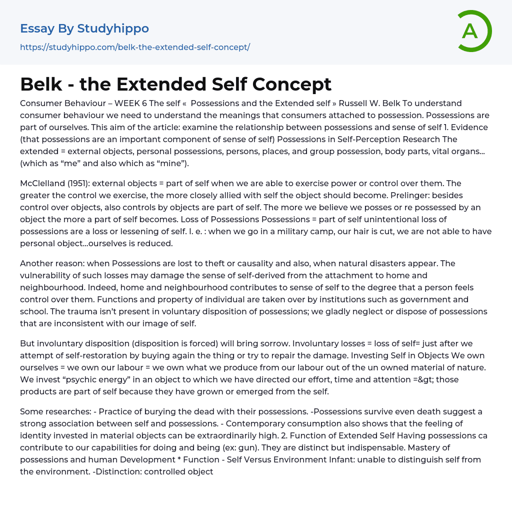 Belk The Extended Self Concept Essay Example StudyHippo