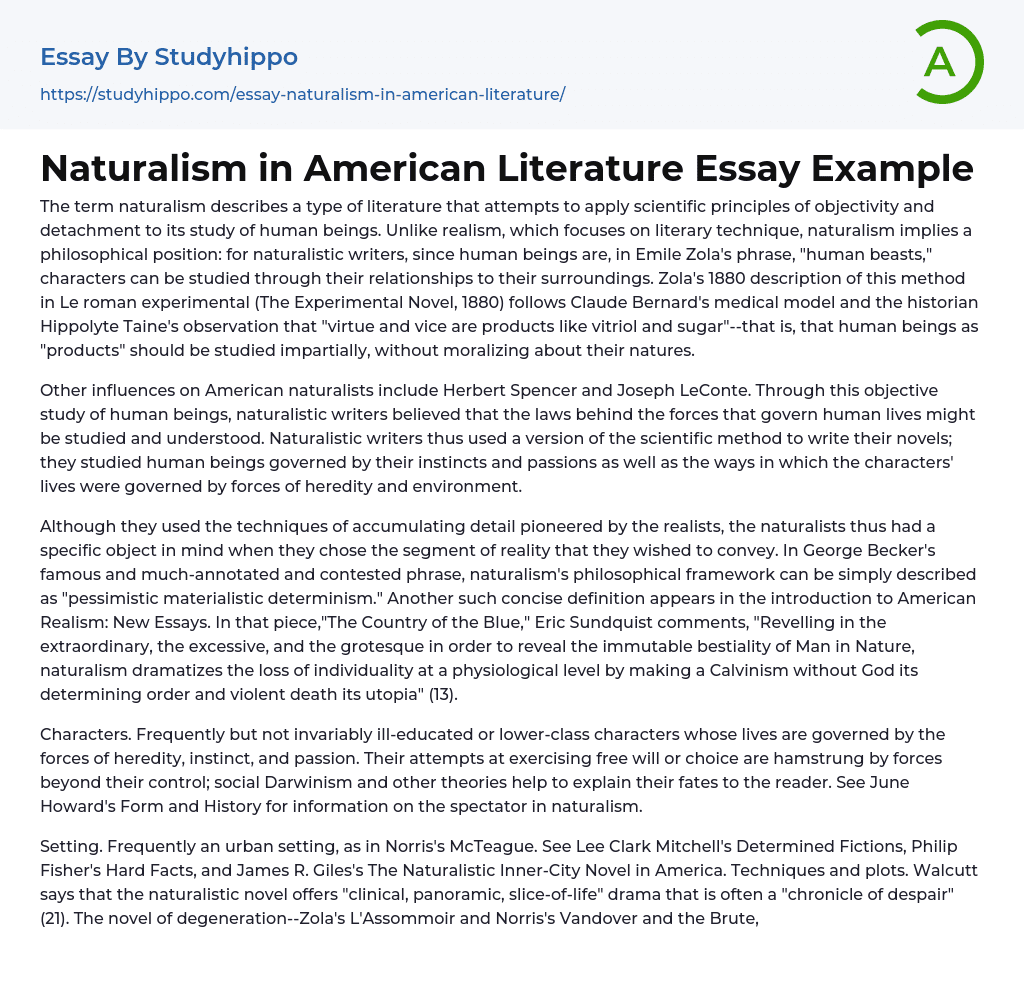 Naturalism In American Literature Essay Example StudyHippo