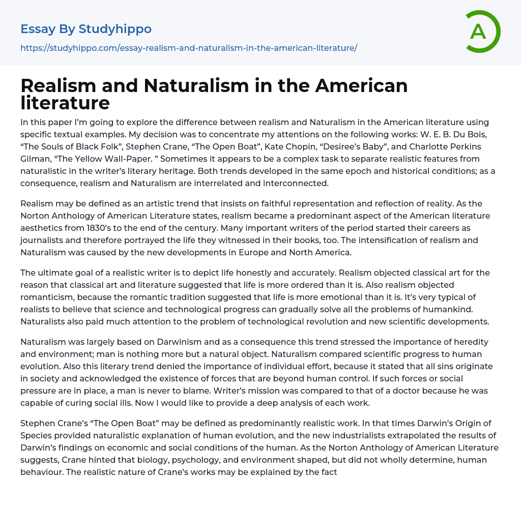 Realism And Naturalism In The American Literature Essay Example Realism And Naturalism In The American Literature Essay Example