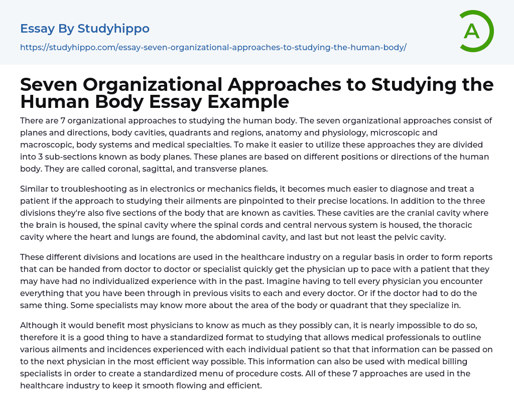 Seven Organizational Approaches To Studying The Human Body Essay Seven Organizational Approaches To Studying The Human Body Essay