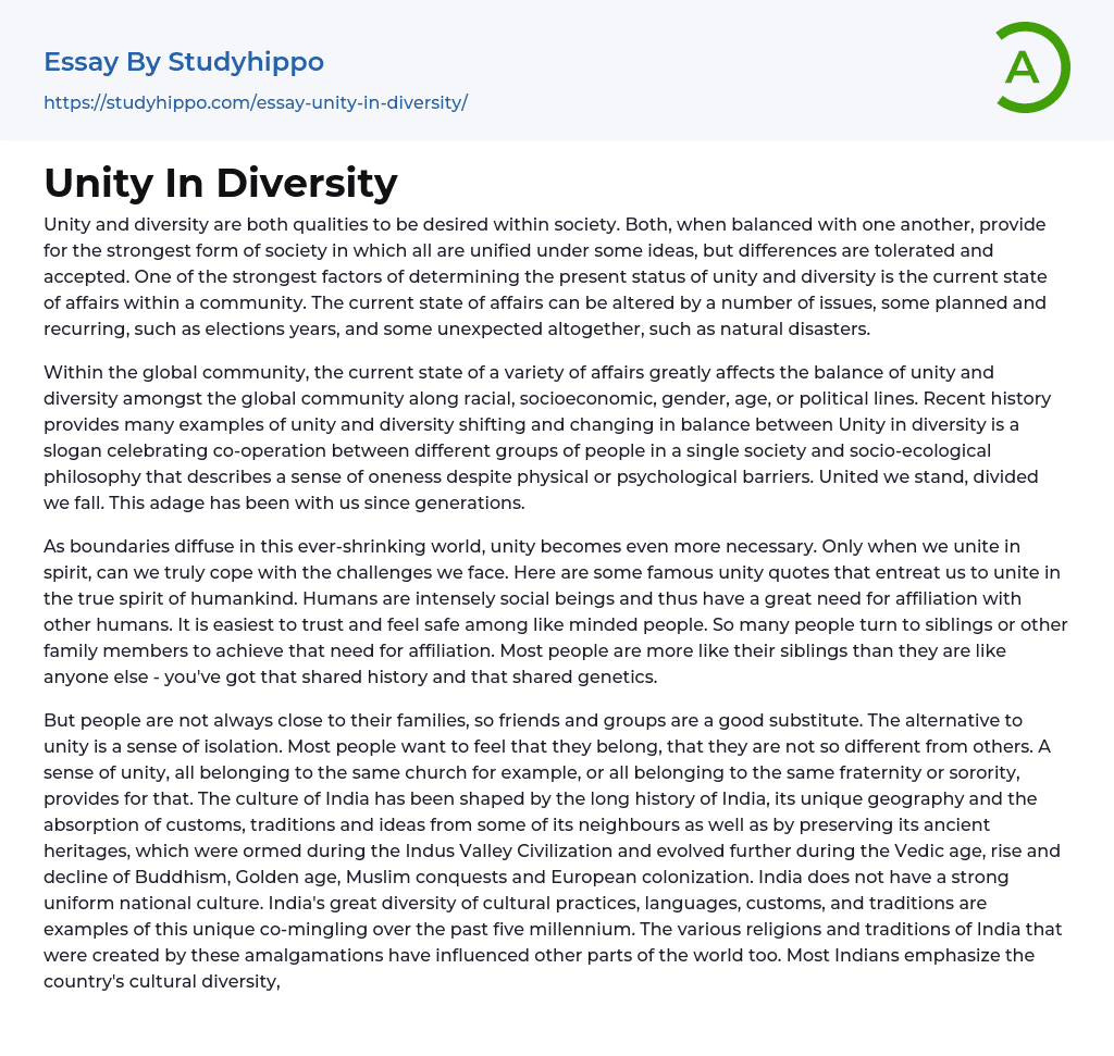 Unity In Diversity Essay Example StudyHippo
