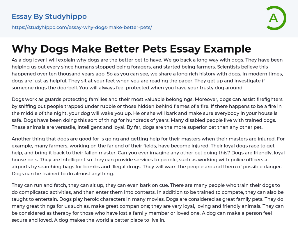 Why Dogs Make Better Pets Essay Example StudyHippo Why Dogs Make Better Pets Essay Example StudyHippo