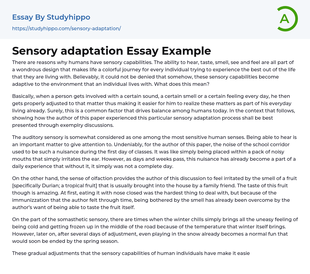 Sensory Adaptation Essay Example StudyHippo Sensory Adaptation Essay Example StudyHippo