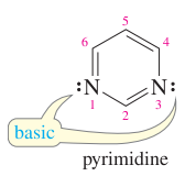 Reactions and Reagent Structures of Chp. 16 | StudyHippo.com