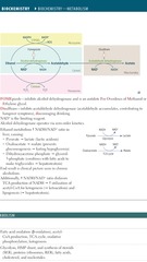 USMLE FIRST AID 2017 Biochemistry - Flashcards | StudyHippo.com