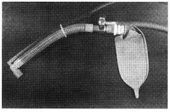 Vet Tech Anesthesia & Surgical Procedures | StudyHippo.com