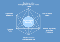 Introduction to Acceptance & Commitment Therapy (ACT) - Flashcards ...