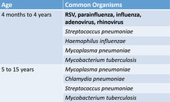 Therapy- Croup/RSV/PNA | StudyHippo.com