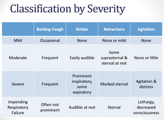 Therapy- Croup/RSV/PNA - Flashcards | StudyHippo.com
