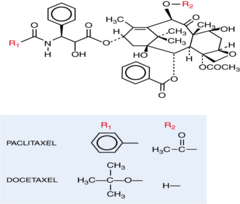 27 - Antineoplastics | StudyHippo.com