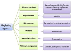 Anti-Cancer Rx | StudyHippo.com