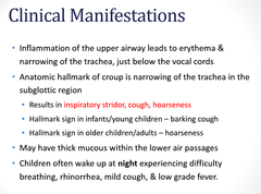 Therapy- Croup/RSV/PNA | StudyHippo.com