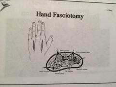 Stanford Plastic Surgery Oral Board Review - Hand | StudyHippo.com